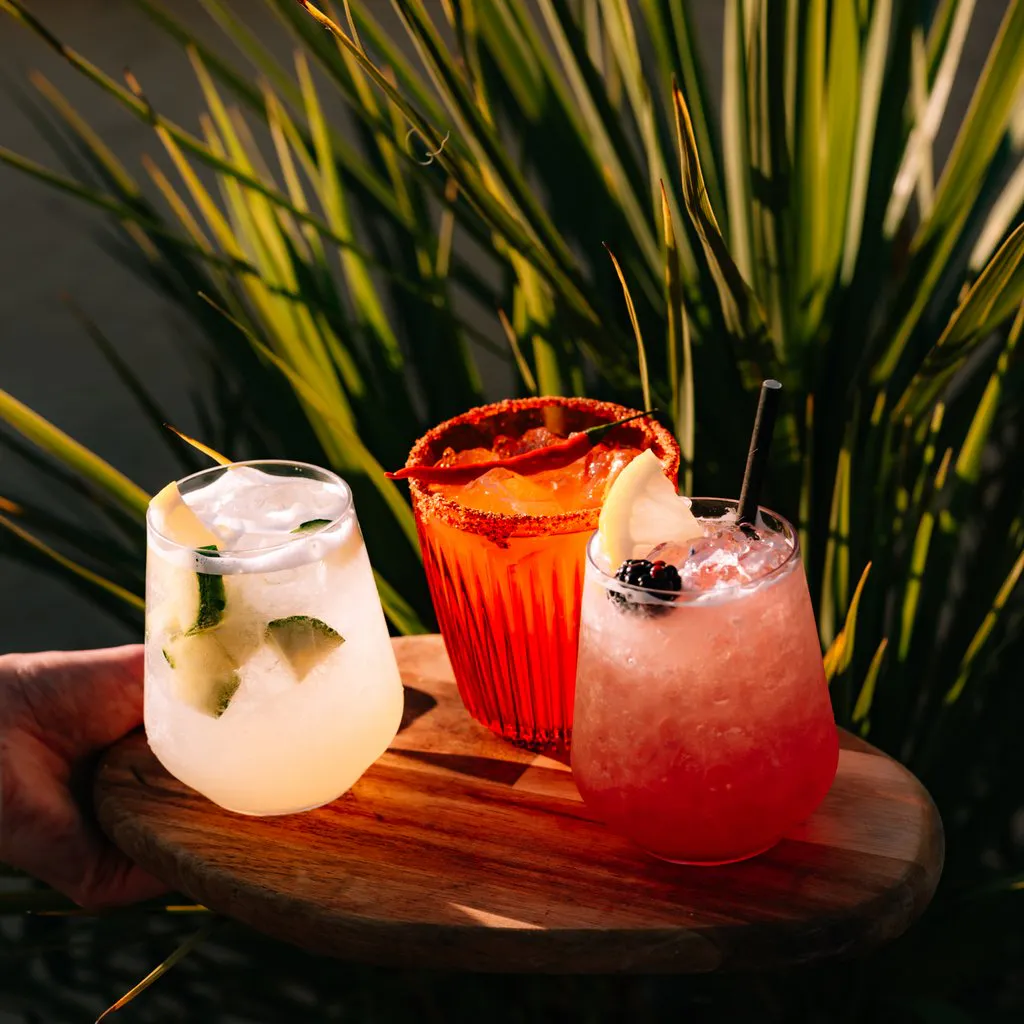 Tickets: Drinks with a View. BAR OPEN! | Jacobs Roof Garden Cardiff Sat ...