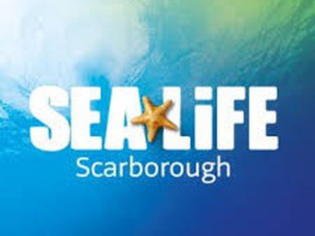 Tickets: Sea Life Scarborough Standard Admission | Sealife Center ...