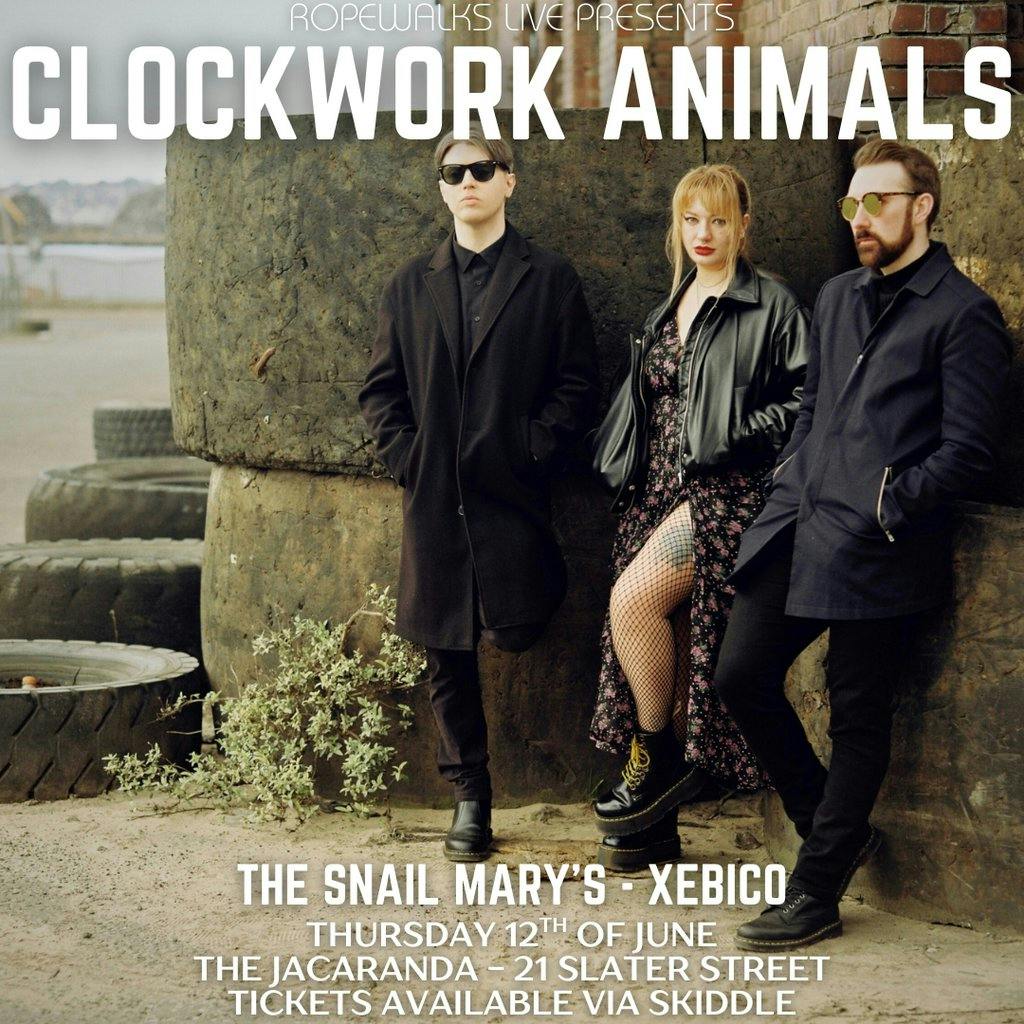 Clockwork Animals With Special Guests | The Jacaranda Club Liverpool ...