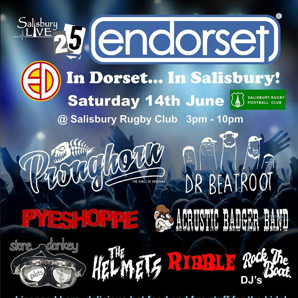 Endorse It in Dorset in Salisbury - TICKETS AVAILABLE ON GATE ...