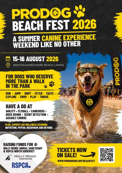 Tickets: ProDog Beach Fest 2026 | Weston Super Mare Beach Lawns Weston ...
