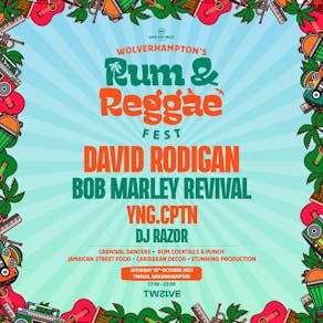 Rum & Reggae Wolverhampton Ft. David Rodigan | TWELVE Wolverhampton Sat ...
