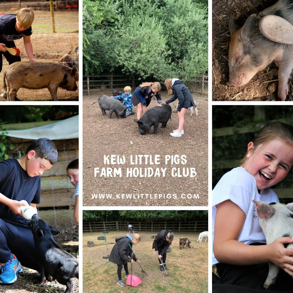 Tickets: Kew Little Pigs Farm Summer Holiday Club | Kew Little Pigs ...