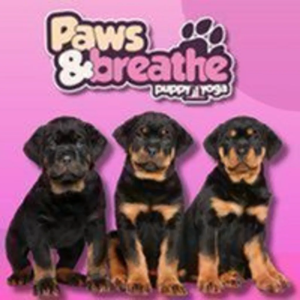 Tickets: Puppy yoga Birmingham | Malacuna Birmingham Birmingham Sun 19 ...