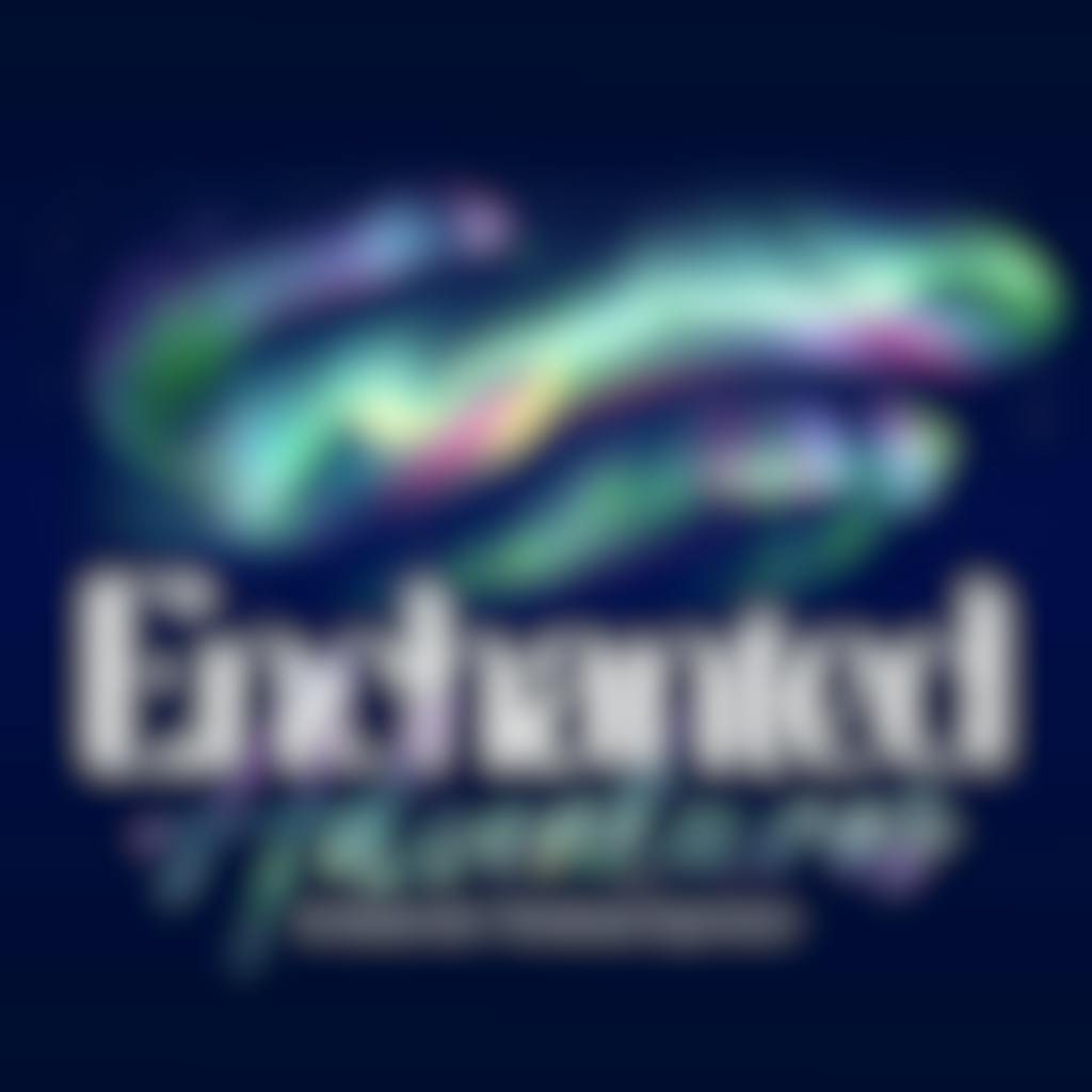 The Enchanted Adventures - Himley Hall Christmas Light Trail | Himley ...