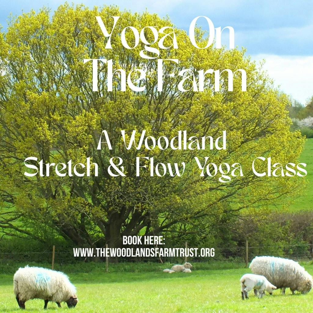 Woodland Stretch & Flow Yoga Sessions | Woodlands Farm Trust Welling ...