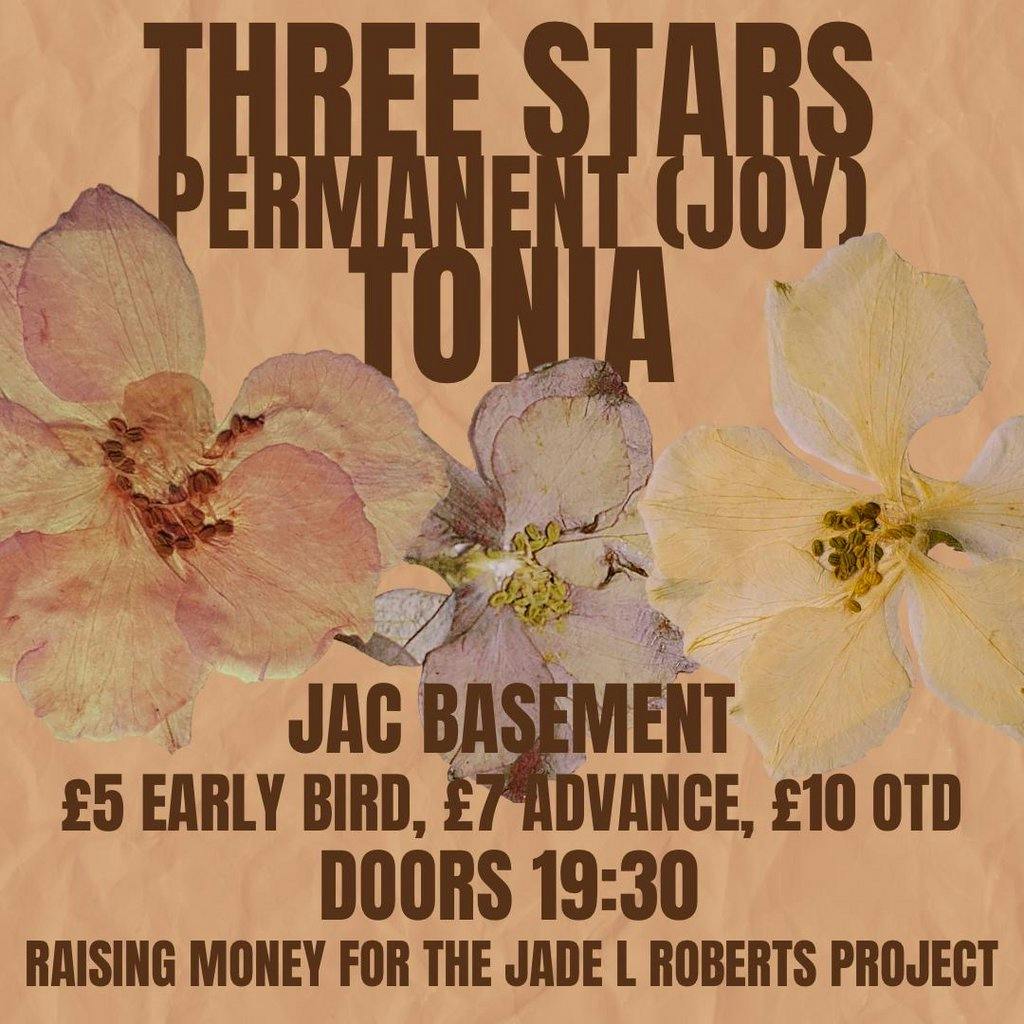 Tories Cant Dance: Three Stars, Permanent (Joy), Tonia | The Jacaranda ...