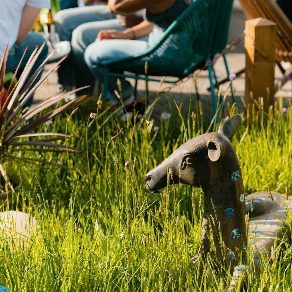 Bar open!! 12pm - 5pm | Jacobs Roof Garden Cardiff Fri 23 May 2025