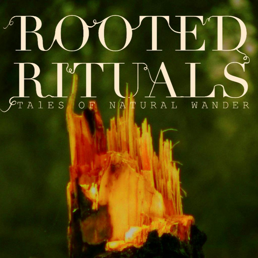 Rooted Rituals : Tales of Natural Wander | Comme Ca Manchester | Tue 16th April 2024 Lineup
