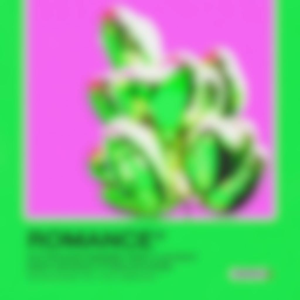 ROMANCE - Nottingham's biggest indie club night | Rescue Rooms ...