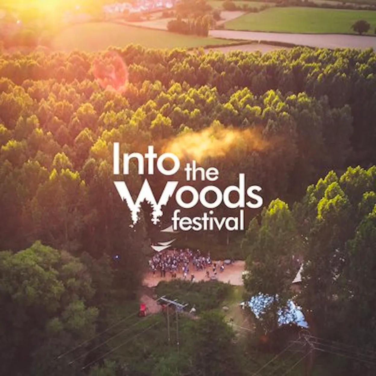 Into the Woods Festival 2025 | Tickets & Line Up | Skiddle