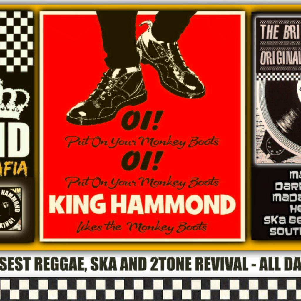 Brighton Gigs & Concerts - Upcoming Live Music