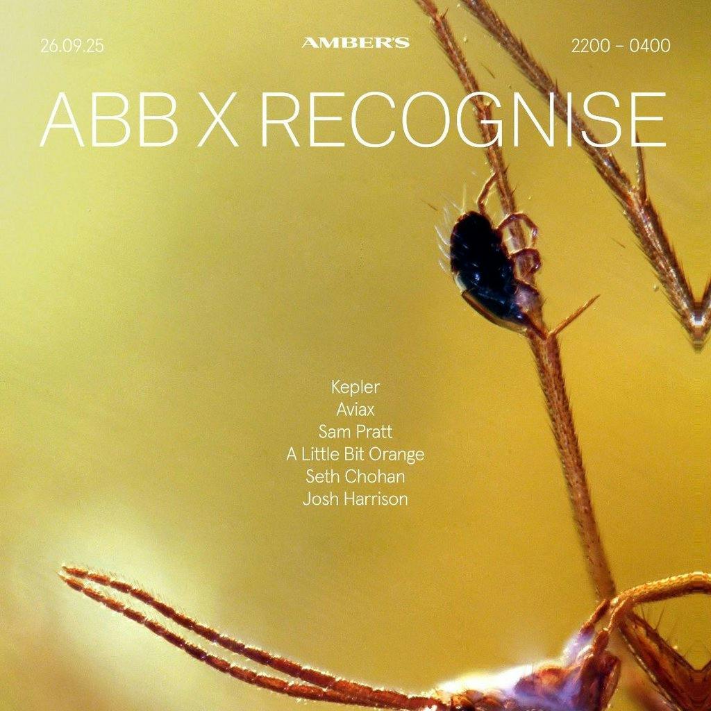 AXR: (ABB x RECOGNISE) - KEPLER & MORE | Amber's Manchester Fri 26 ...