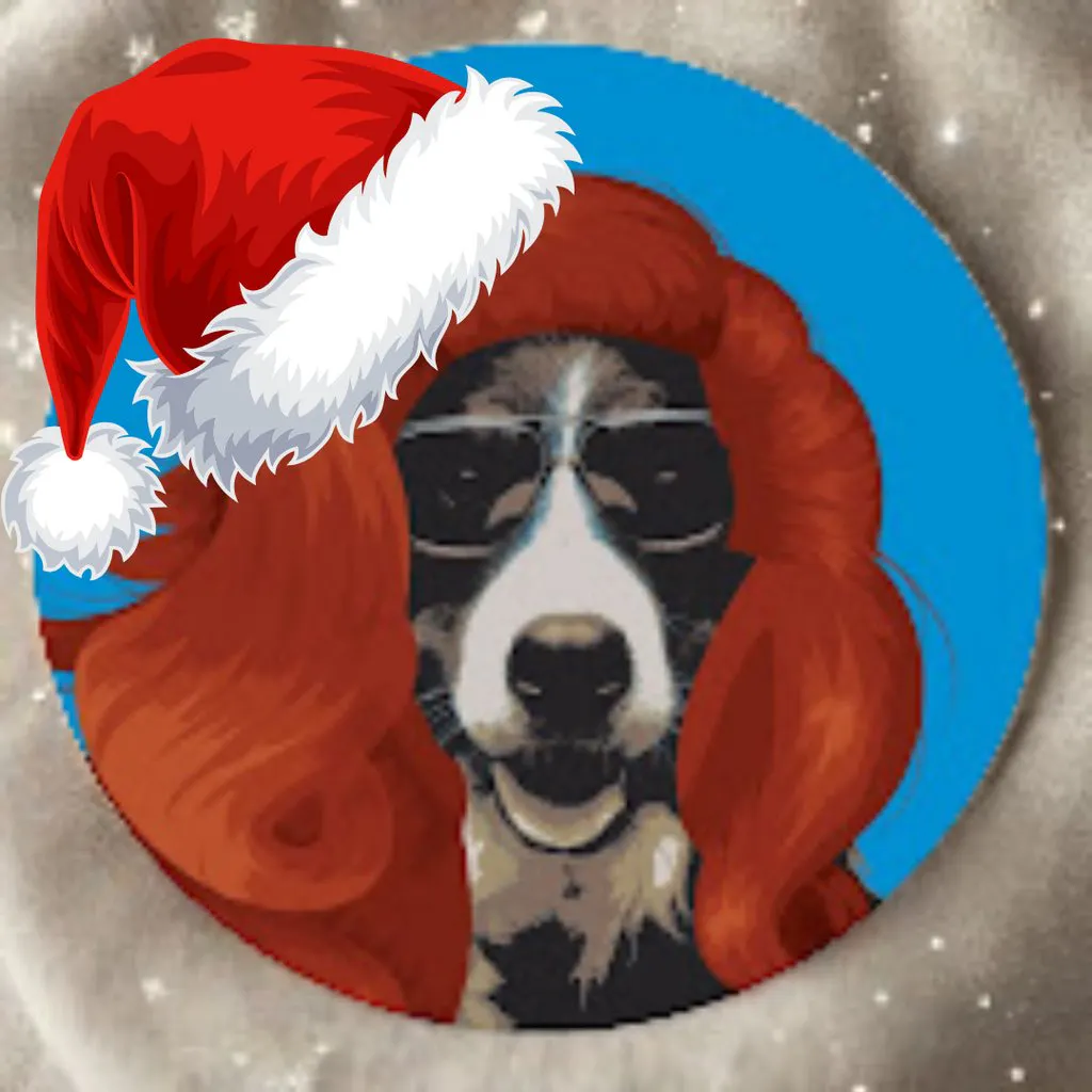 The Kings Heath Christmas Pantomime | Hare And Hounds Kings Heath ...