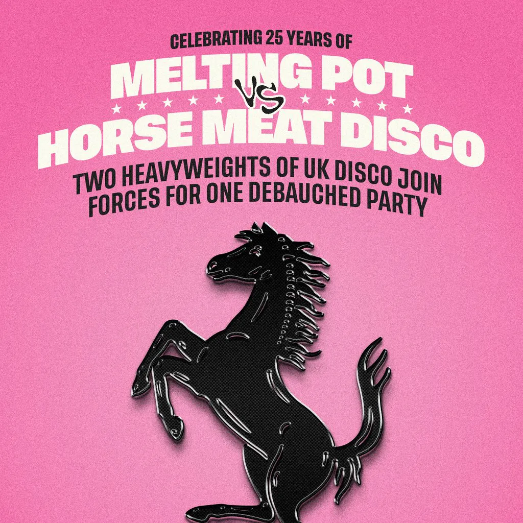 Horse Meat Disco vs Melting Pot [25 Yrs] - Easter Daytime Disco ...