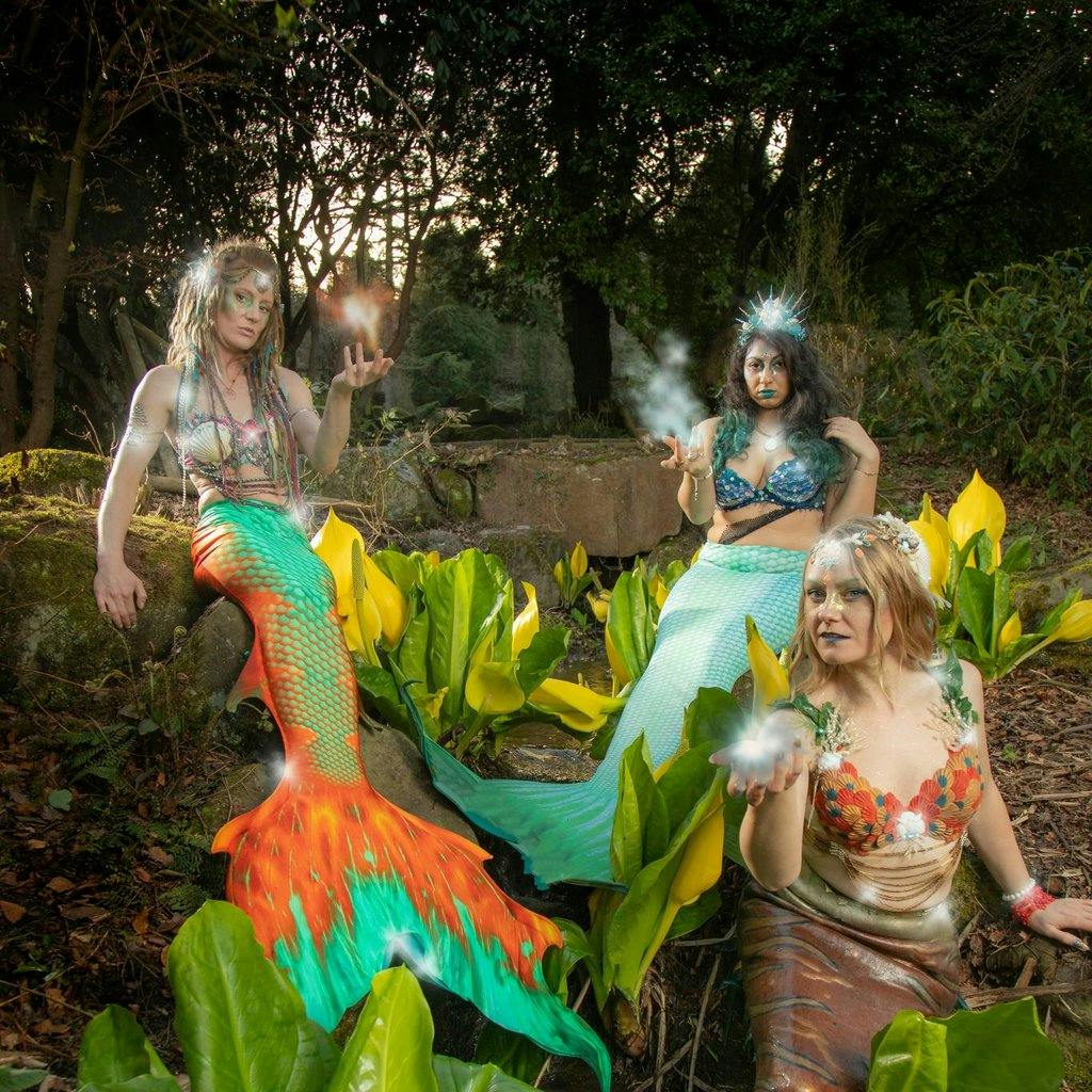 Enchanted Elements Extravaganza, Family Festival! | Yorkshire Wildlife ...