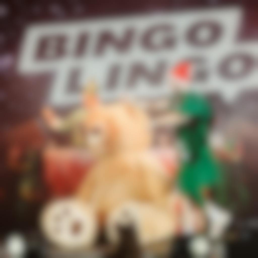 BINGO LINGO - Cardiff SU - The Christmas Special | Cardiff Students ...