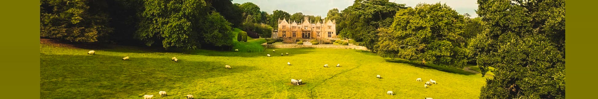 Shindig Festival 2026 | Tickets & Line Up | Skiddle