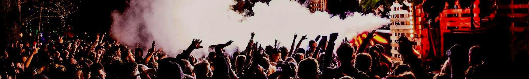 Forbidden Forest festival 2023 | Tickets & Line Up | Skiddle